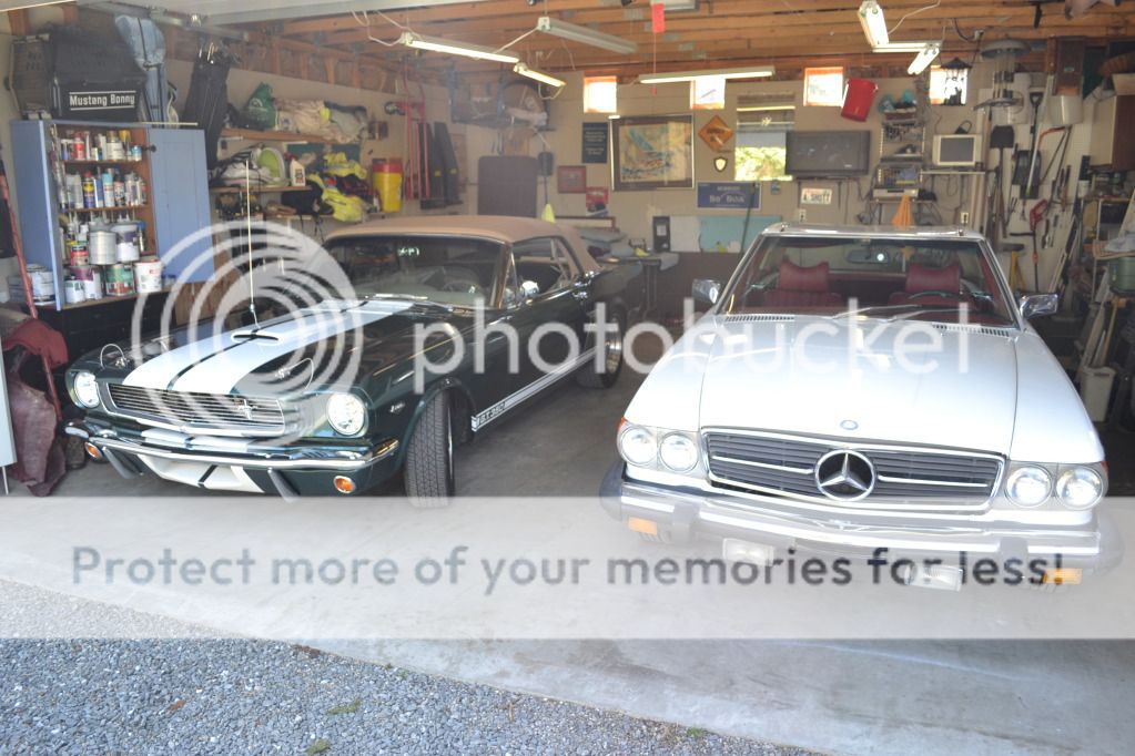 My Award Winning Mustang-Mercedes | Mercedes-Benz Forum