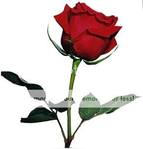 bluteal | Style You Can Trust