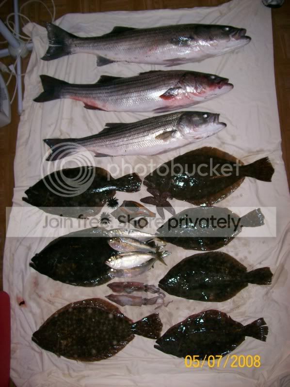 How to salt bloodworms? | Pier and Surf Forum