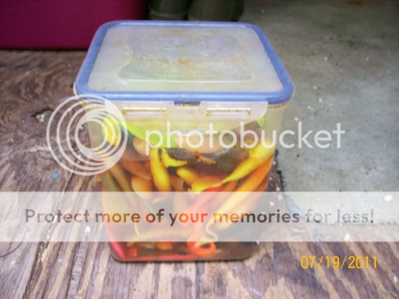 Gulp + Juice Storage ??? | Pier and Surf Forum