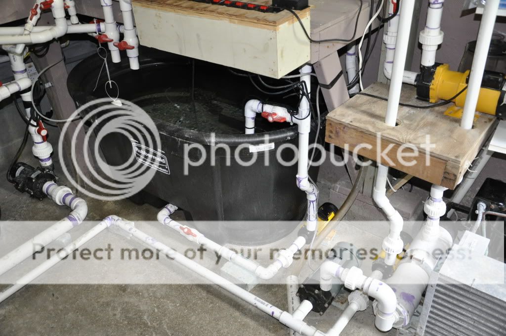 B-ionc esv salt mix.... Who's using it??? | REEF2REEF Saltwater and ...